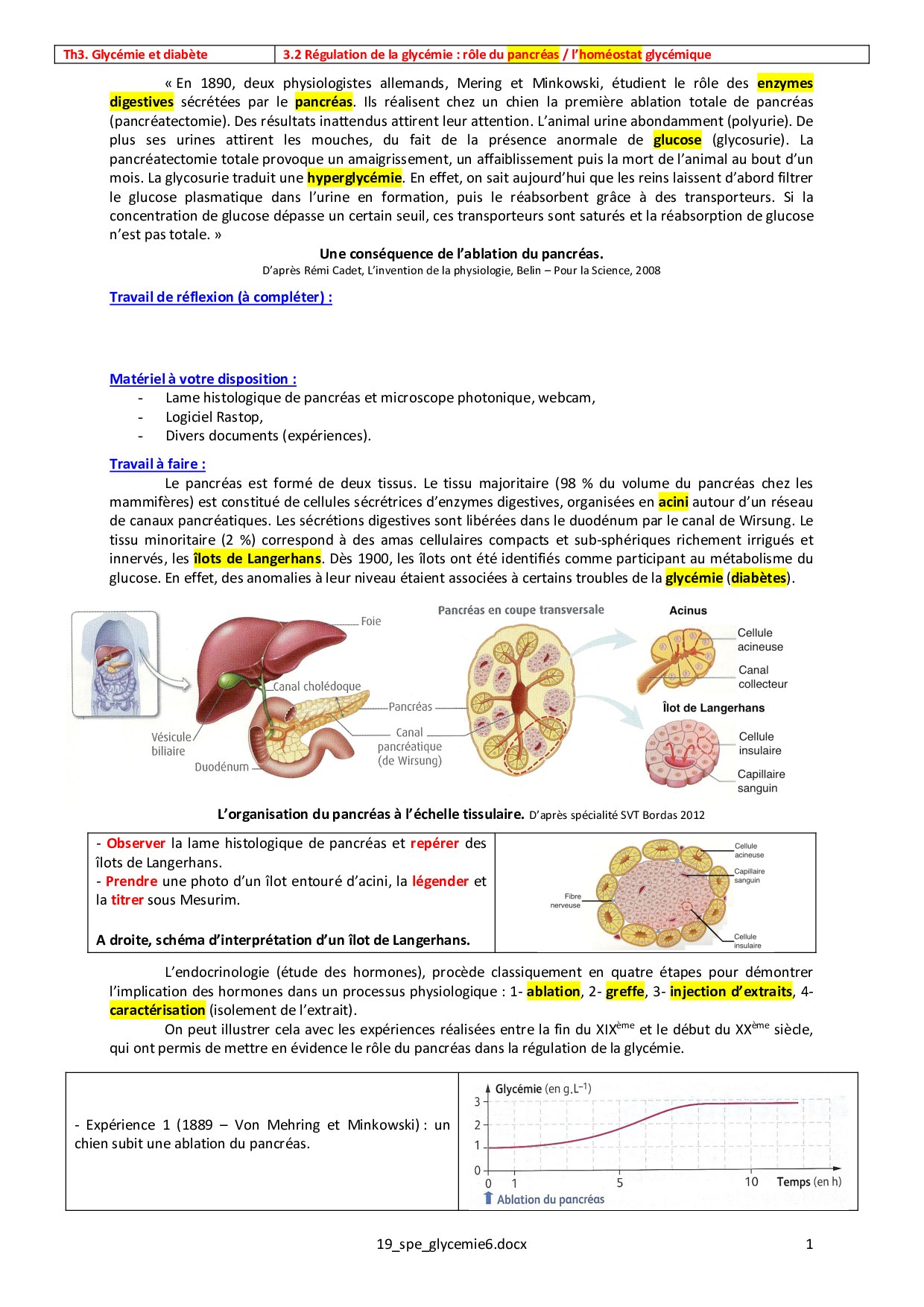 Fiche d’activité - La régulation de la glycémie (le rôle du pancréas ...