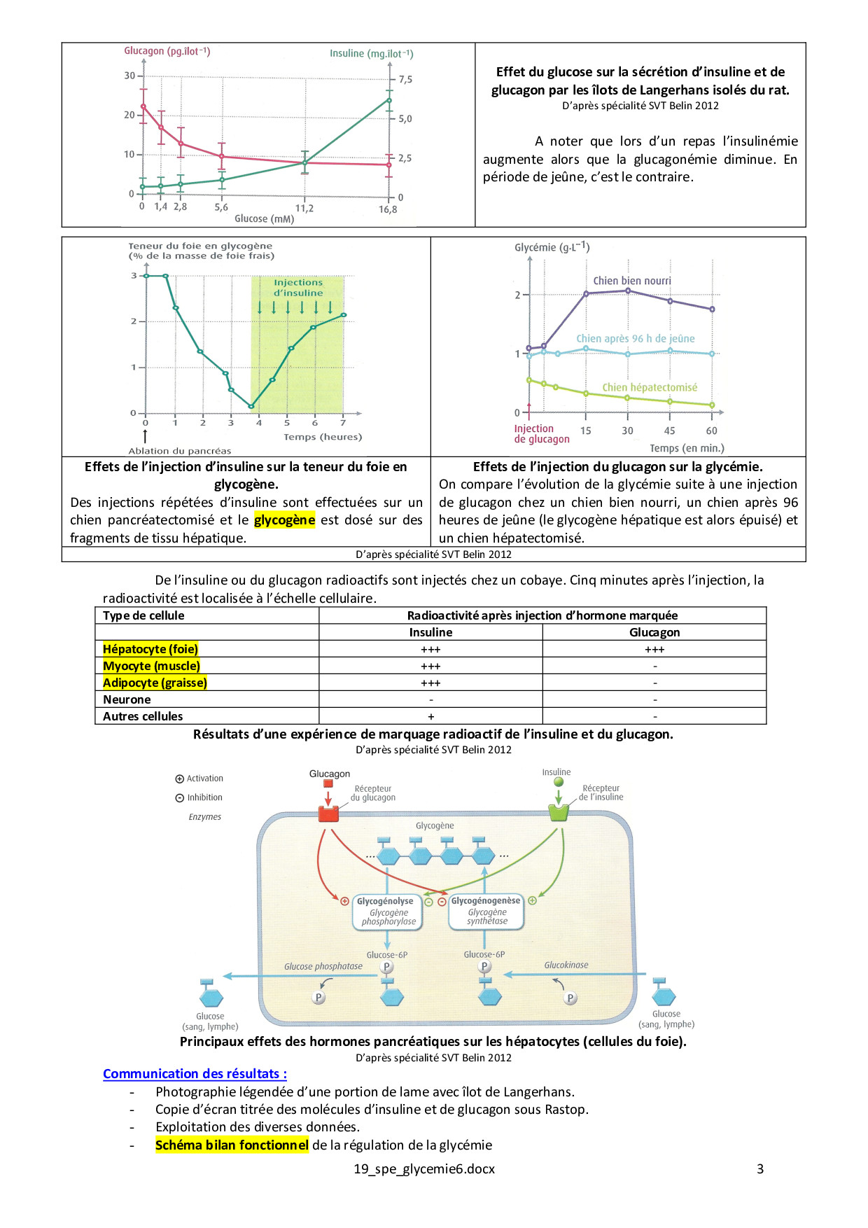 Fiche d’activité - La régulation de la glycémie (le rôle du pancréas ...