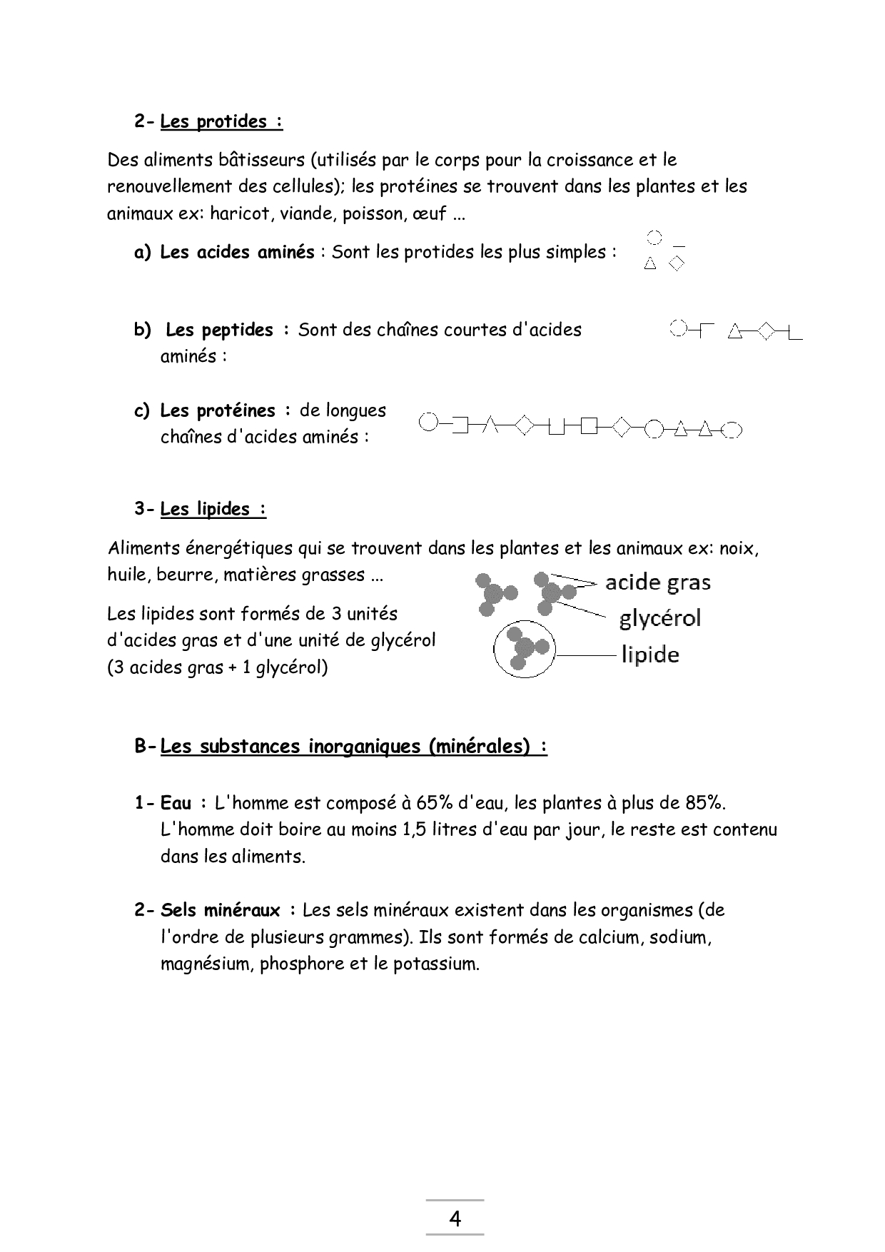 La digestion des aliments et l’absorption intestinale - Cours (MA ...
