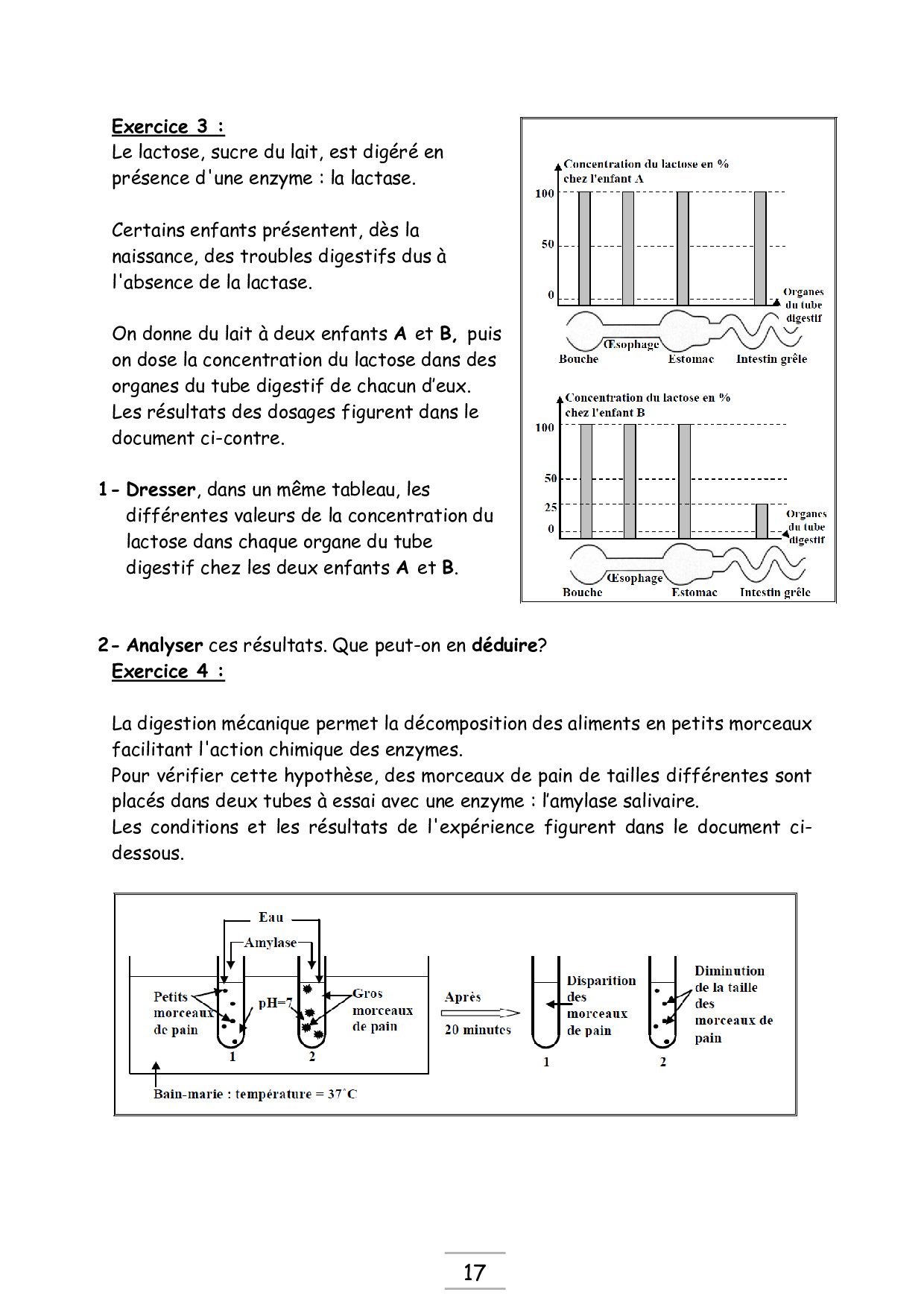La digestion des aliments et l’absorption intestinale - Exercices non ...
