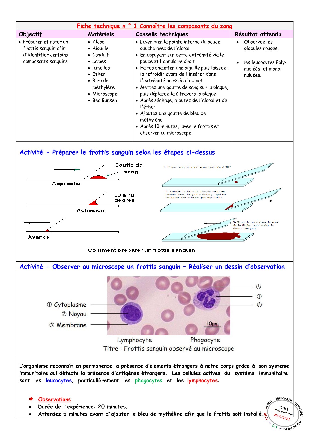 Le Sang Et La Circulation Sanguine Evaluation Cm2 Art - vrogue.co Le Sang Et La Circulation Sanguine Evaluation Cm2 Art - vrogue.co