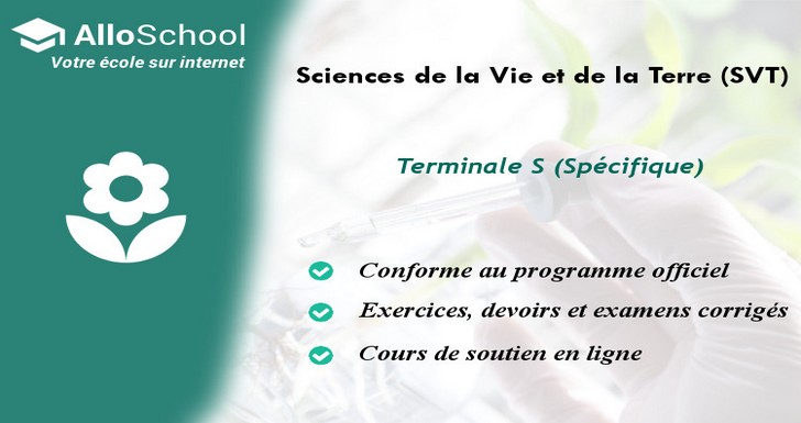 Correction TP - Etude de croisements chez la drosophile (croisement 2) - AlloSchool