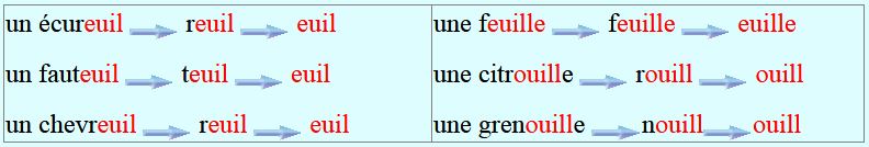 auil - euill - ouill - AlloSchool