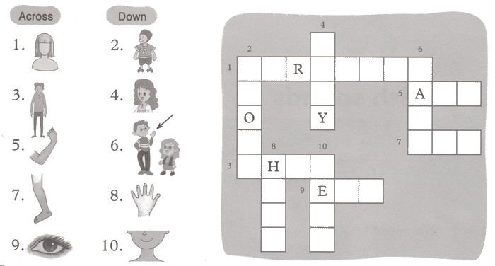 Unit 2 (The amazing body) - Practice 2 - AlloSchool