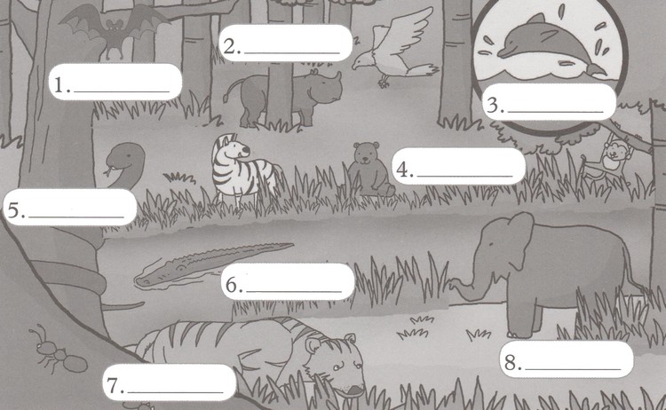 Unit 4 (Wild animals) - Practice 1 - AlloSchool