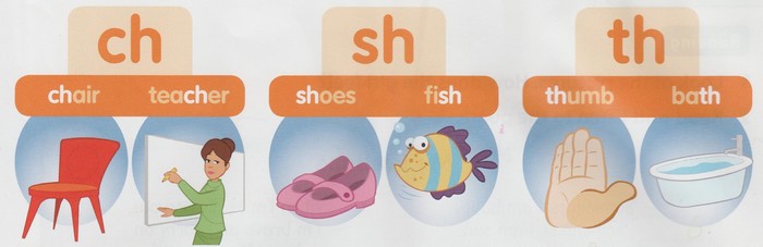 Unit 2 - Phonics (Review of digraphs : ch sh th) - AlloSchool