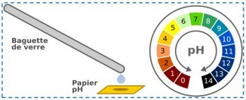 Séance 5 - Les solutions acides et les solutions basiques - AlloSchool