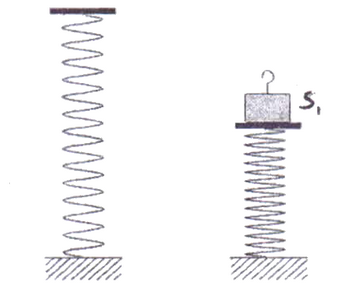 PC TC - Semestre 2 Devoir 1 Modèle 2 - AlloSchool