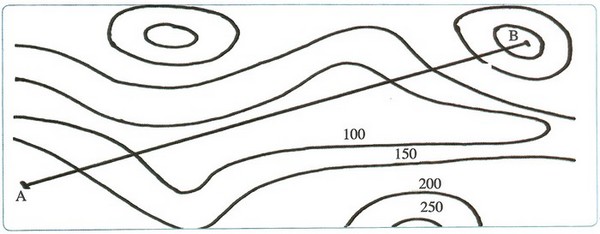 SVT 1AC - Semestre 2 Devoir 1 Modèle 2 - AlloSchool