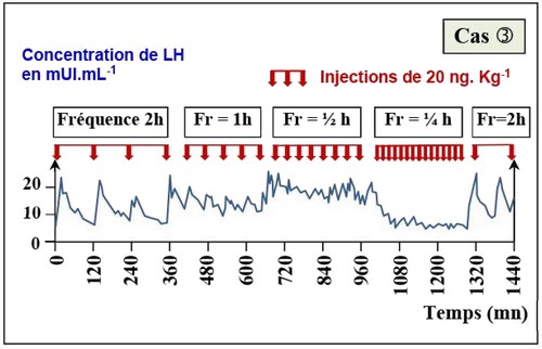 Régulation de la fonction de reproduction humaine - Cours (Partie 3 ...