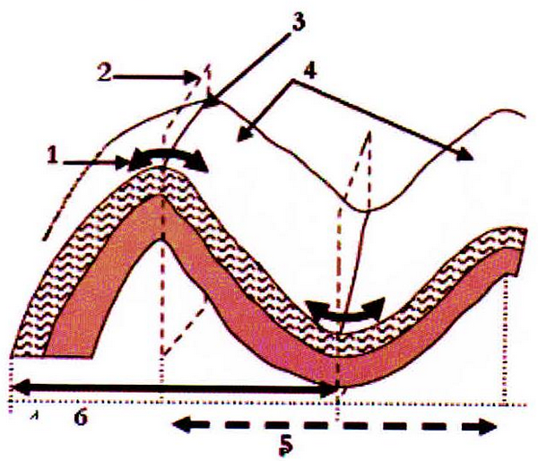 Séance 15 - Les déformations tectoniques - Exercices - AlloSchool