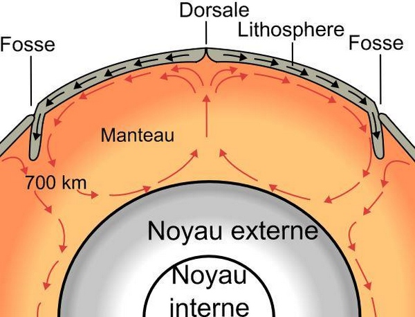 Séance 2 - La tectonique des plaques - Cours (Partie 2) - AlloSchool
