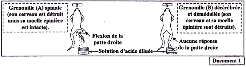 SVT 3AC - Examen Régional 5 - AlloSchool