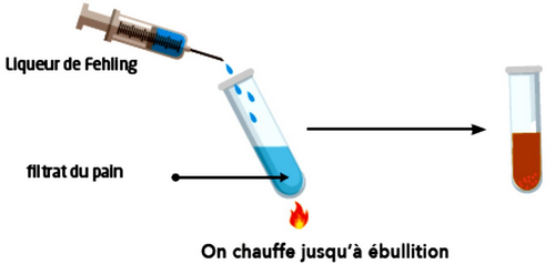 Séance 1 - Les aliments - Cours (Partie 1) - AlloSchool