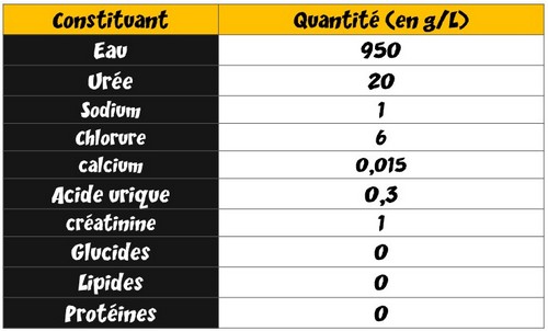 Séance 23 - La composition de l'urine - Cours - AlloSchool