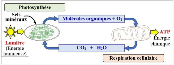 TEST PDF ALLOSCHOOL V1.22
