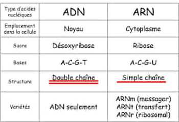 TEST PDF ALLOSCHOOL V1.22