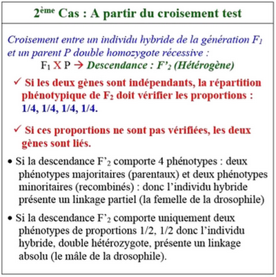 TEST PDF ALLOSCHOOL V1.22