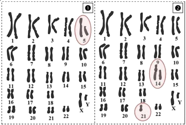 TEST PDF ALLOSCHOOL V1.22